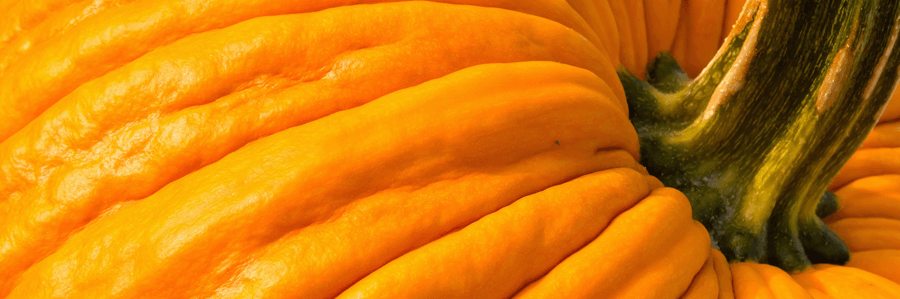 Eric Eggleston, FINANCIAL ADVISOR - Financial Services Professional in ...