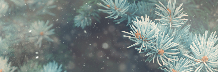 Joe Bence, Financial Advisor - Finance Professional in Newnan, Georgia