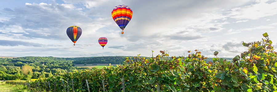 Kaleigh N Hubbard, Financial Advisor - Finance Professional in ...