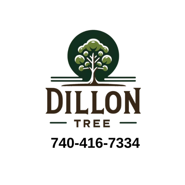 Dillon Tree LLC - Outdoor & Landscaping Professional in Zanesville, Ohio