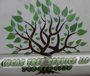 Lucas Tree Service, LLC - Outdoor & Landscaping Professional in ...