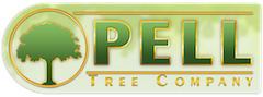 Pell Tree Company - Outdoor & Landscaping Professional in Norristown ...