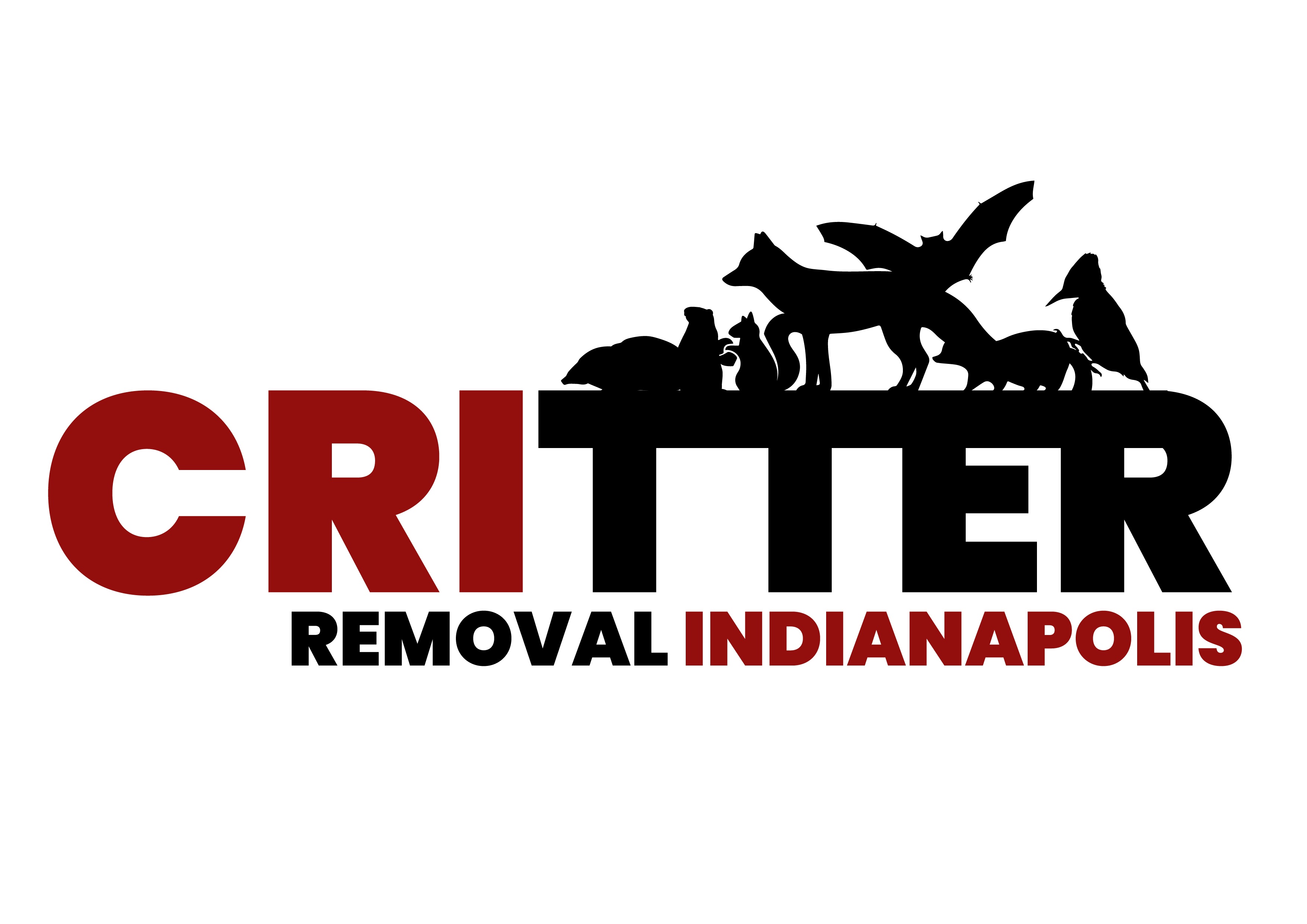 Critter Removal Indianapolis - Specialty & Inspection Services Reviews ...