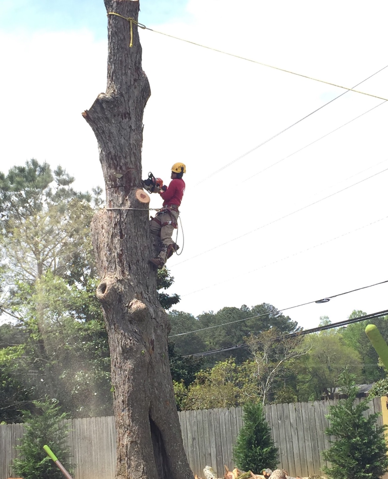 M&G Tree Service - Outdoor & Landscaping Professional in Buford, Georgia