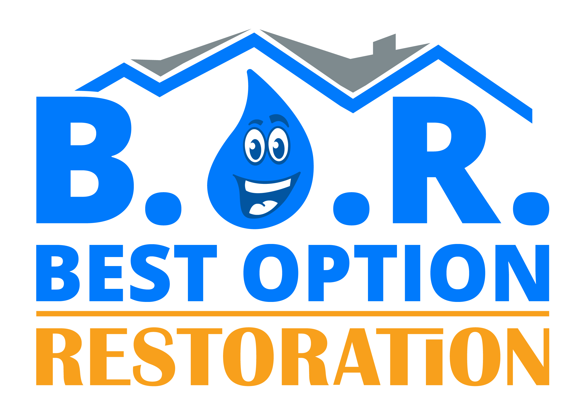 Best Option Restoration East Louisville - Construction & Renovation ...