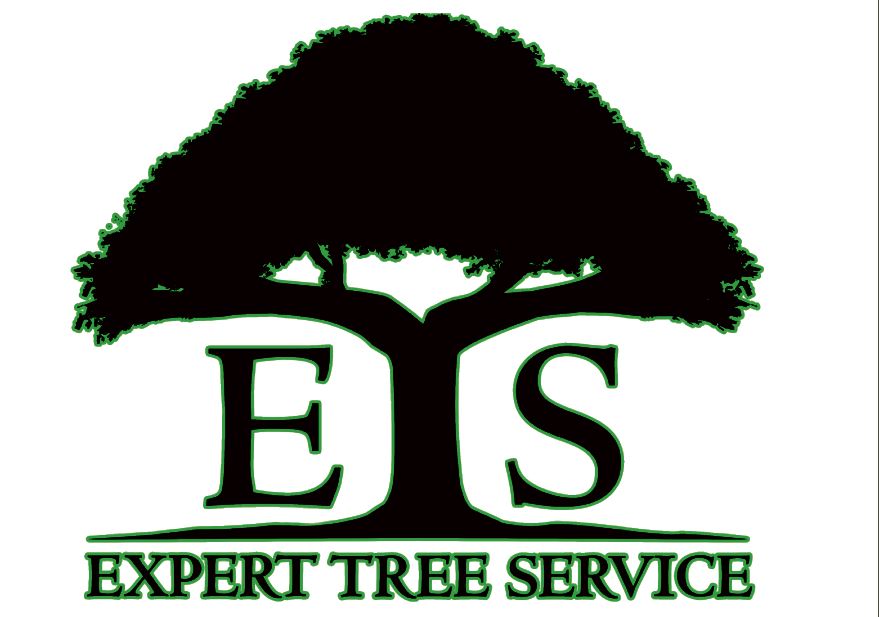 Expert Tree Svc - Outdoor & Landscaping Professional in Hurley, New York