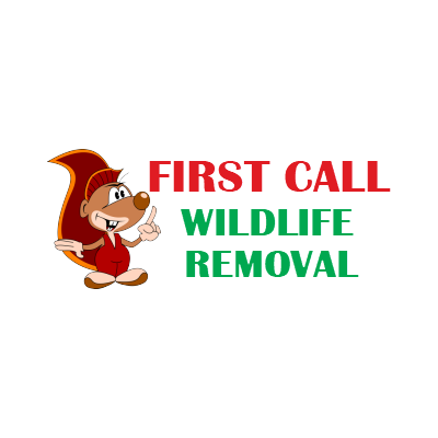 First Call Wildlife Removal - Specialty & Inspection Services ...