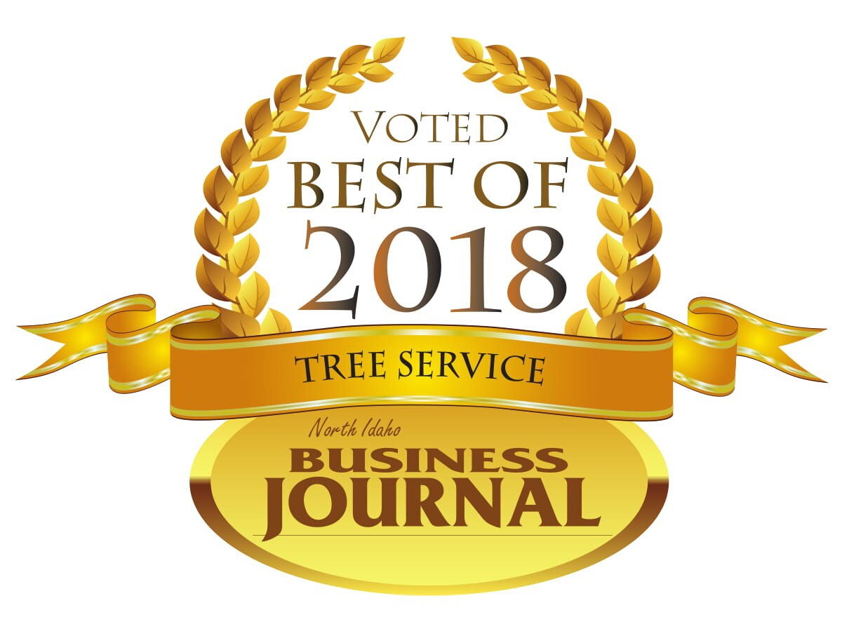Grace Tree Service Inc - Outdoor & Landscaping Reviews in Hayden, Idaho