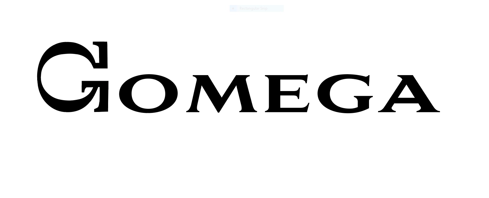 Gomega LLC - Construction & Renovation Professional in Dearborn, Michigan