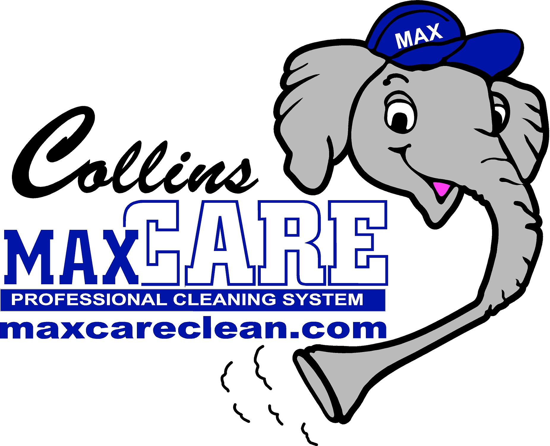 Collins Max Care - Cleaning & Environmental Services Reviews in Swansea ...