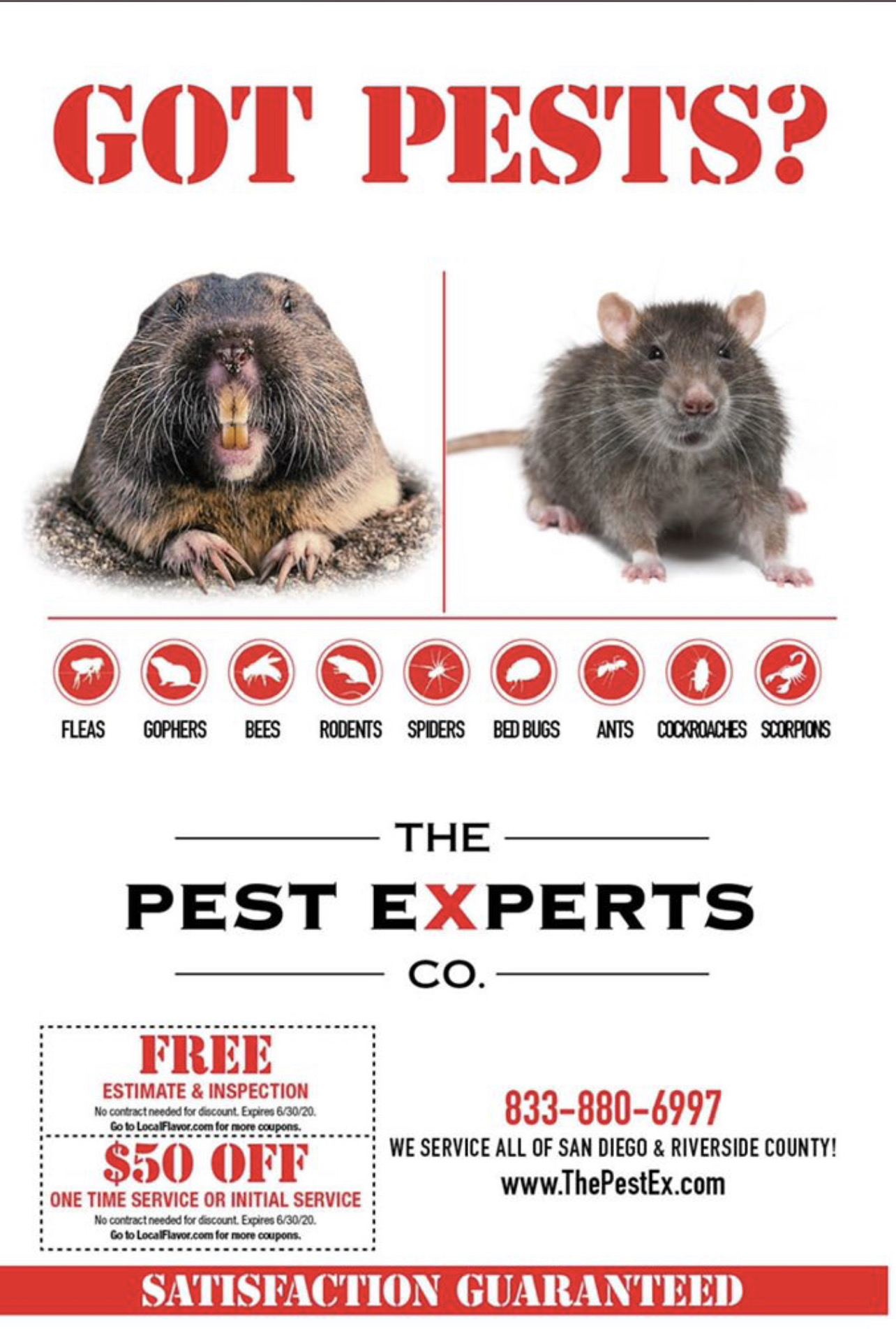 The Pest Experts - Specialty & Inspection Services Professional in ...