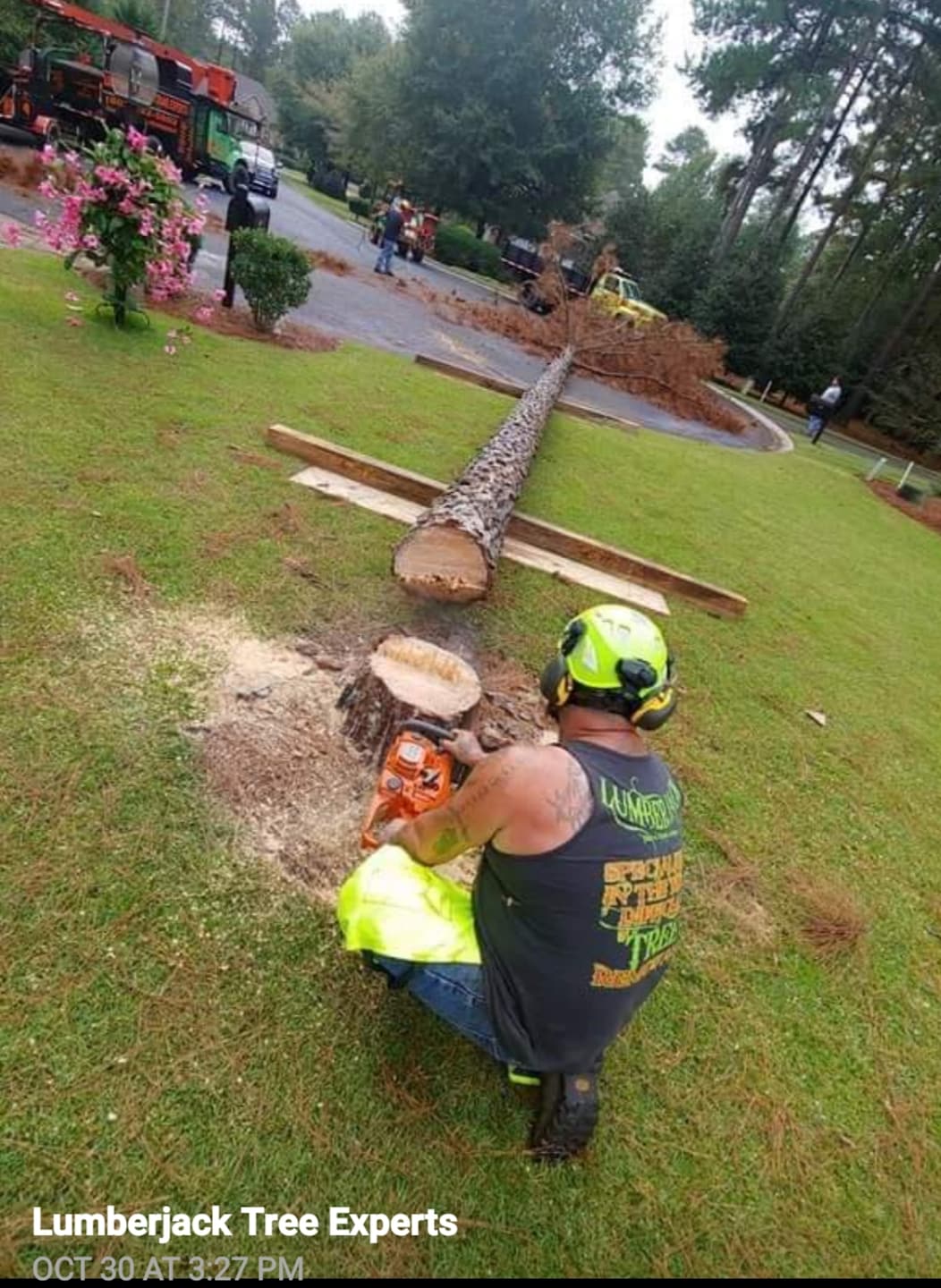 LUMBERJACK TREE EXPERTS - Outdoor & Landscaping Reviews in Aiken, South ...