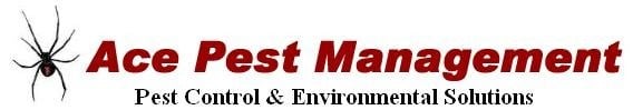 ACE PEST MANAGEMENT - Specialty & Inspection Services Reviews in Port ...