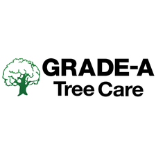 Grade A Tree Care - Outdoor & Landscaping Professional in Grandview ...