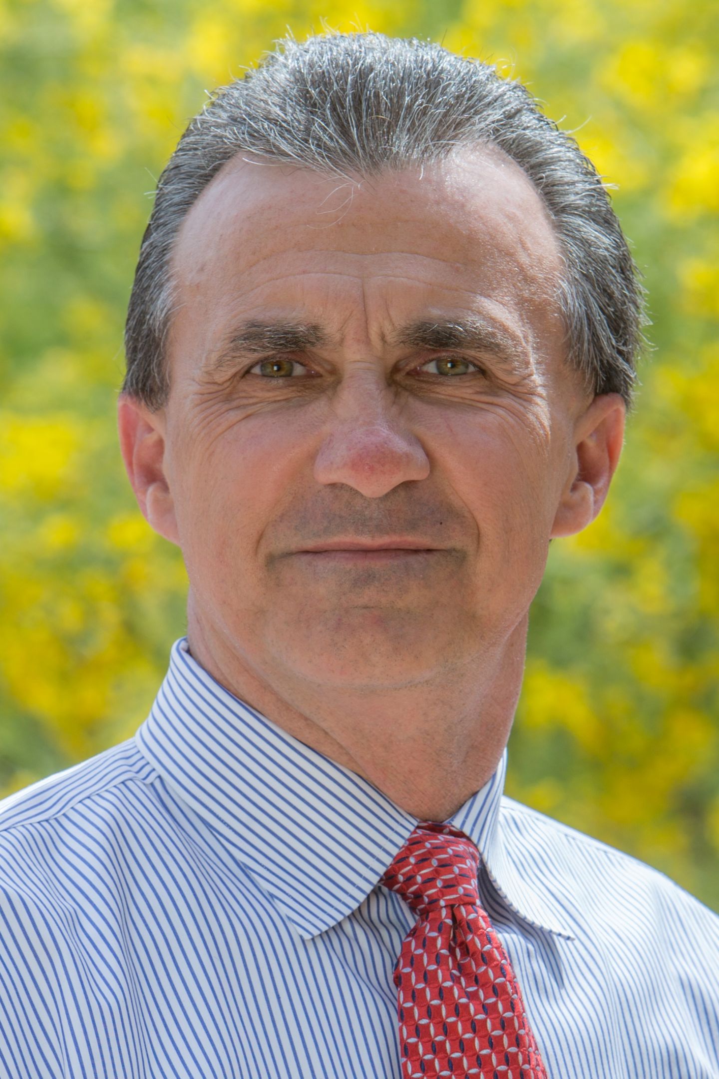 Dale Pavlicek, Sales Associate - Real Estate Professional in Scottsdale ...