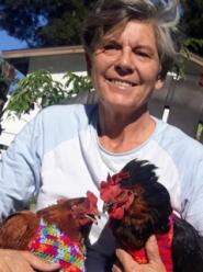 Dr. Cynthia Lewis, DC, Chiropractor - Alternative Medicine Professional ...