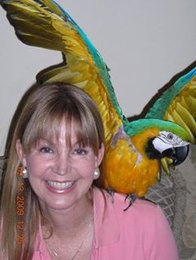 Kimberly Bailey — Real Estate Agent in Sarasota, FL