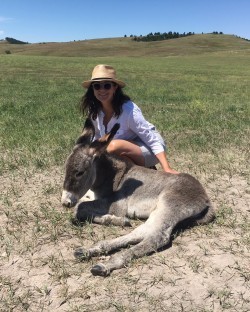 Penelope Strong, Criminal defense Attorney - Legal Professional in ...